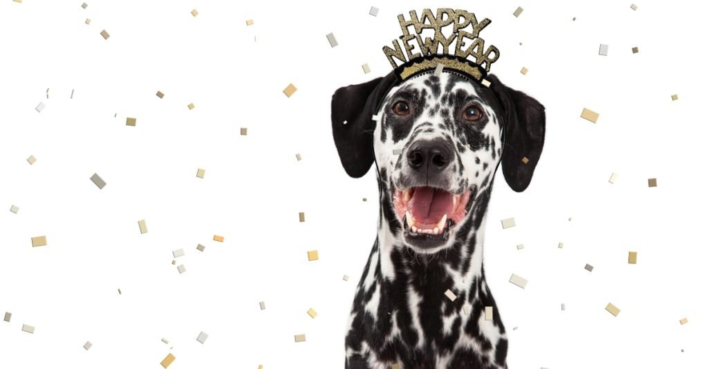 A szilveszteri asztal 6 veszélye a kutyára | We love Dogz