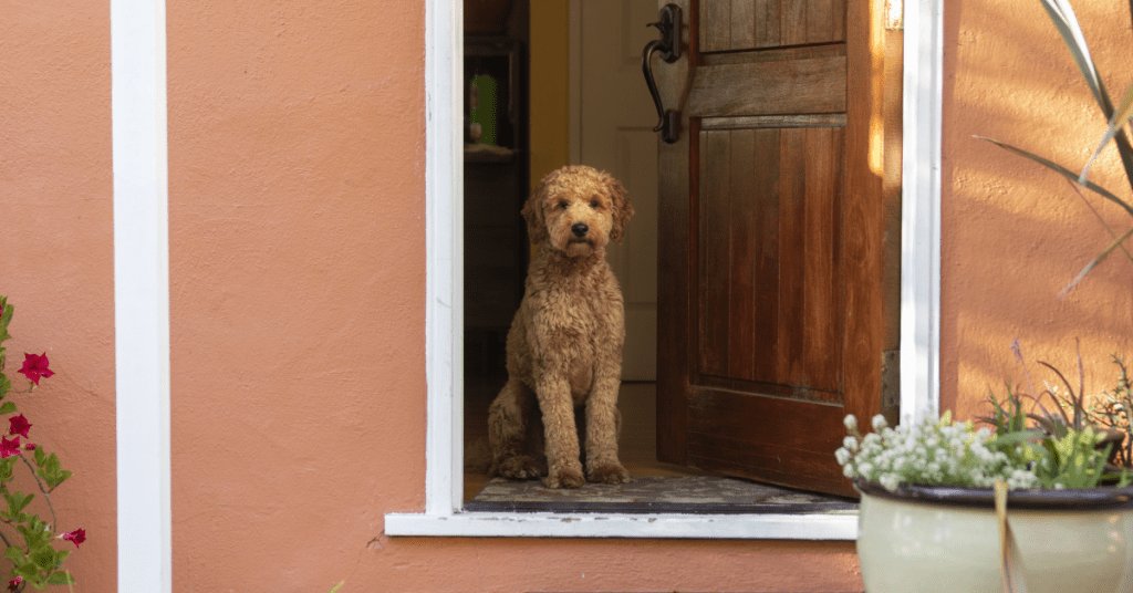 A disturbing video shows why the door rule can be life-saving | We love ...