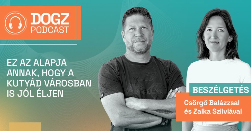 Ez az alapja annak, hogy városban is jól éljen a kutya | We love Dogz