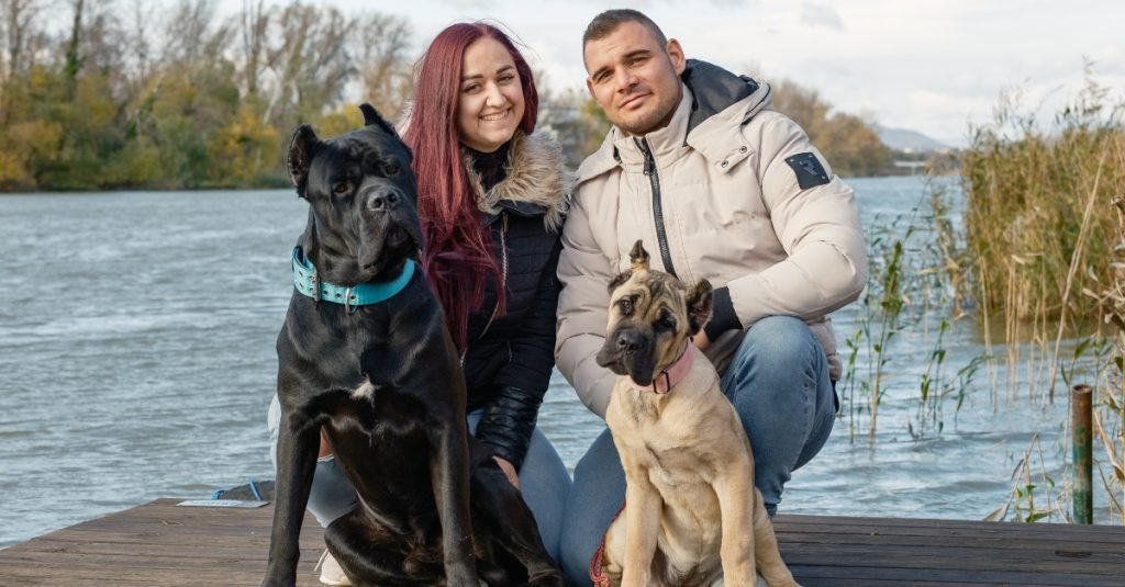Így mutass be helyesen egymásnak két kutyát | We love Dogz