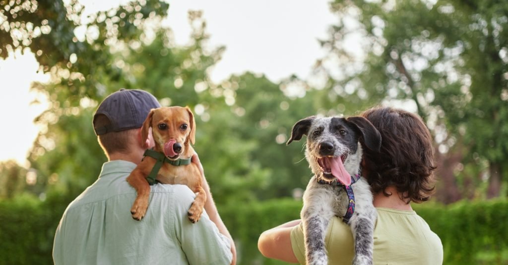 Innen tudhatod, hogy készen álltok egy második kutyára | We love Dogz