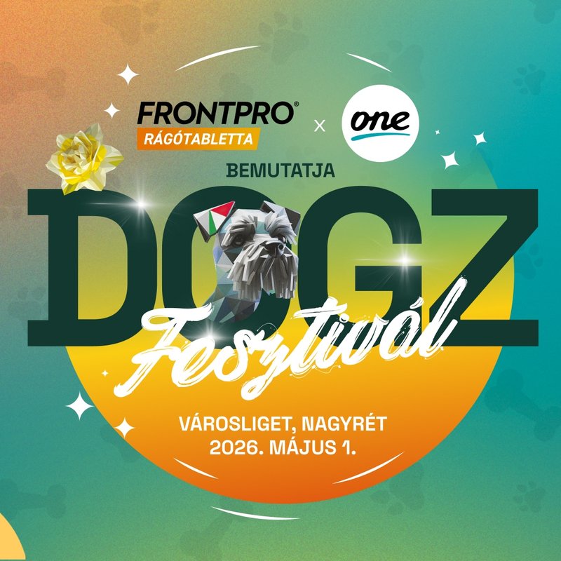 7 érdekesség a vörös rókáról: okosabbak, mint a kutyák | We love Dogz