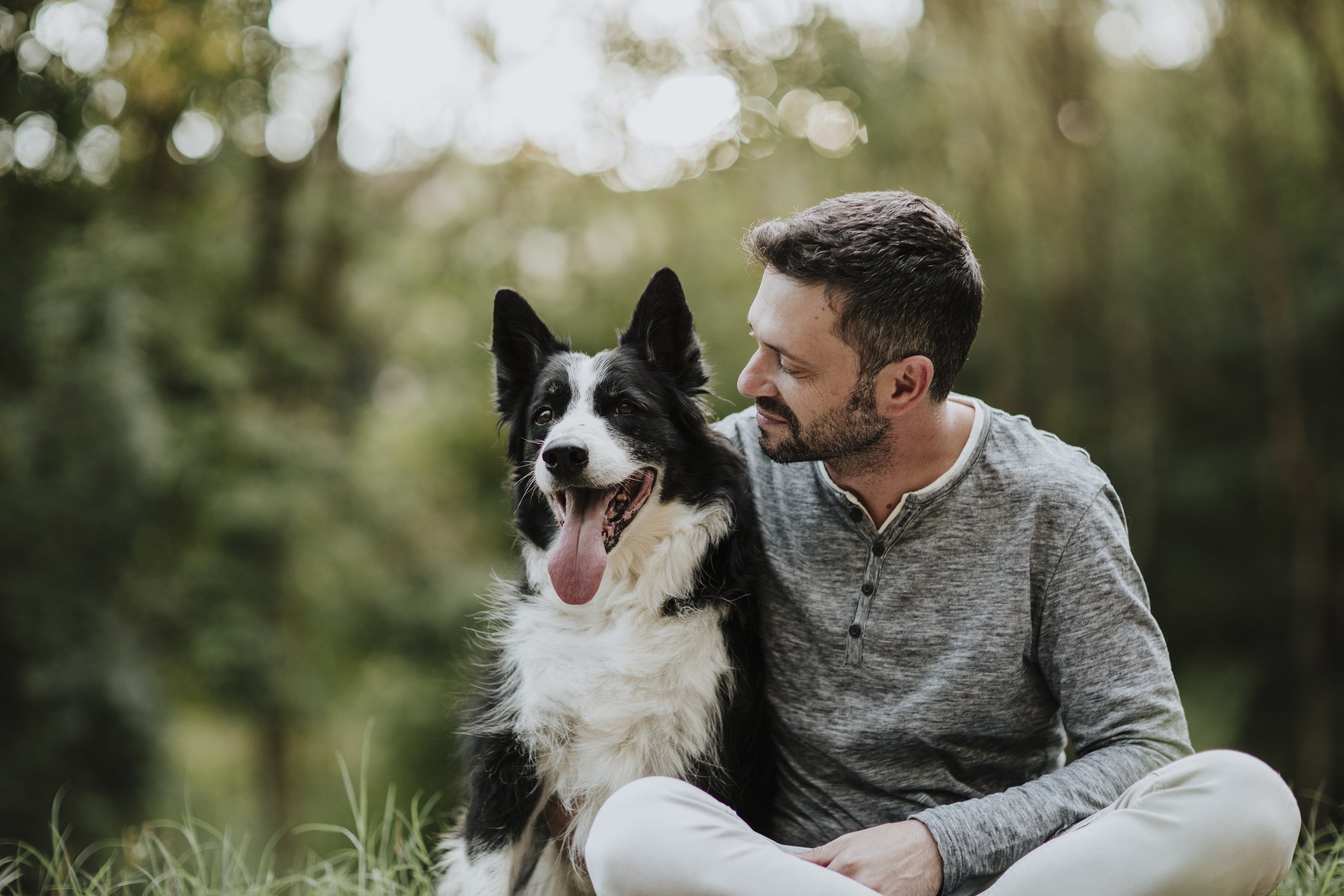 Nem fogod elhinni, mit tett a border collie a huskyval, miután gazdája ...