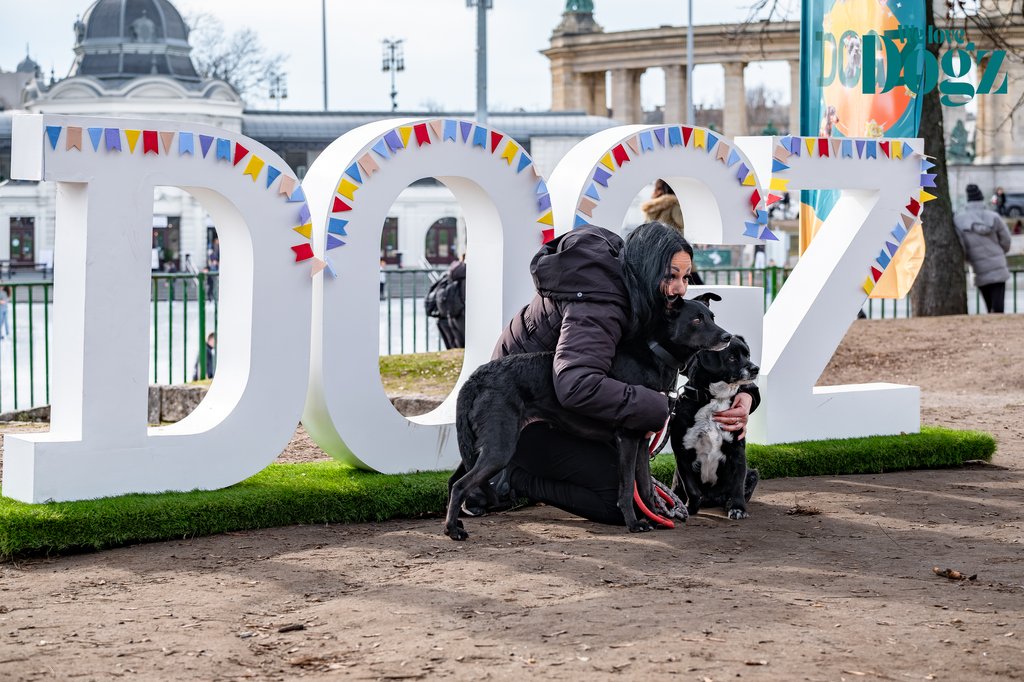 Képeken az idei legnagyobb jelmezes kutyás felvonulás | We love Dogz
